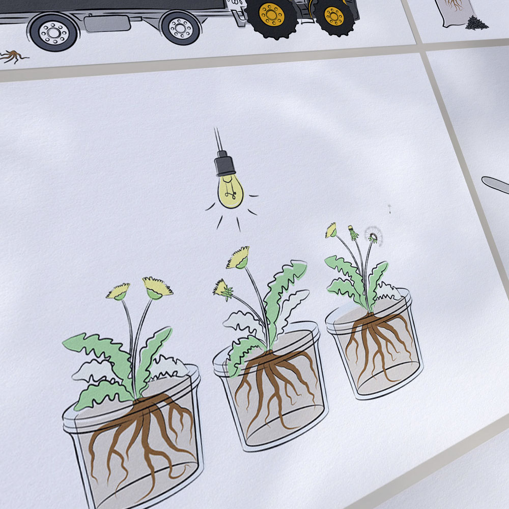 Create infographics: Present complex production processes